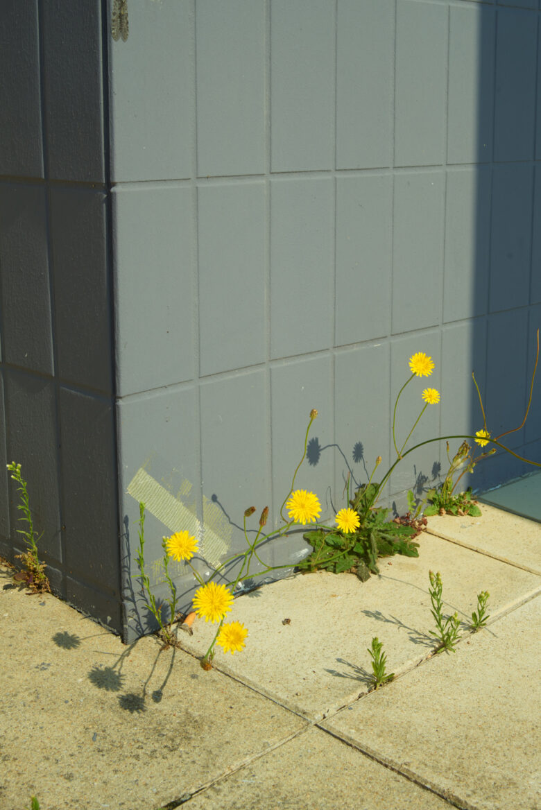 Homepage - Dan Burn-Forti