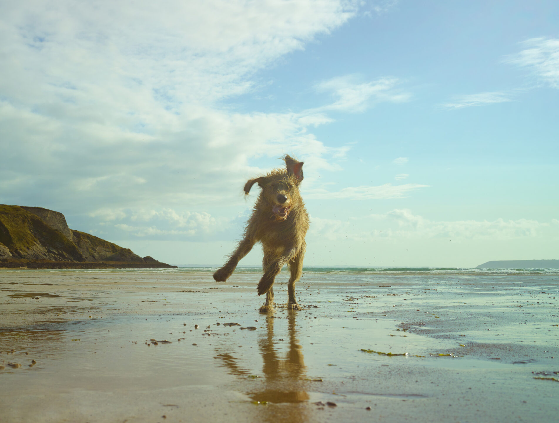 Homepage - Dan Burn-Forti