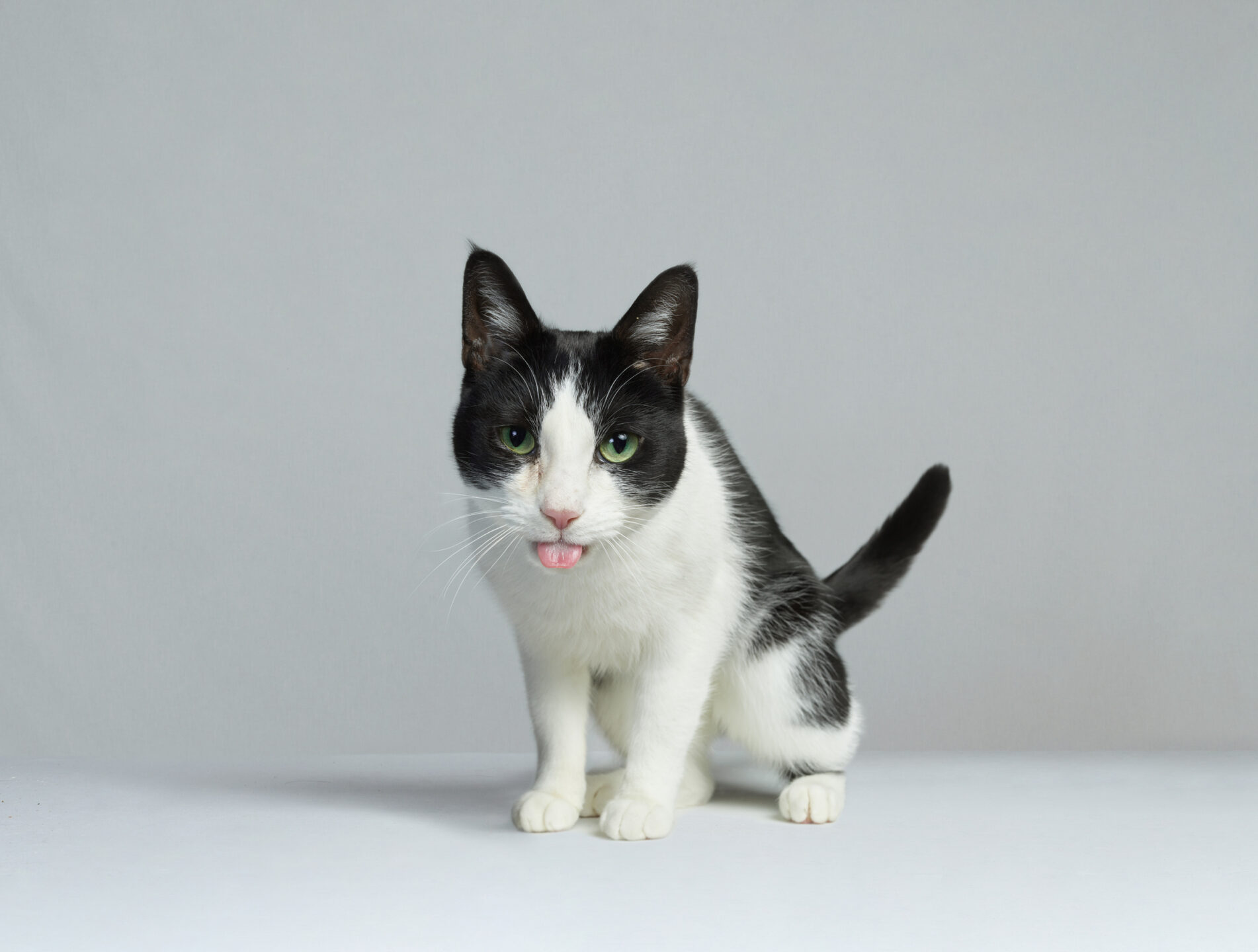 Homepage - Dan Burn-Forti