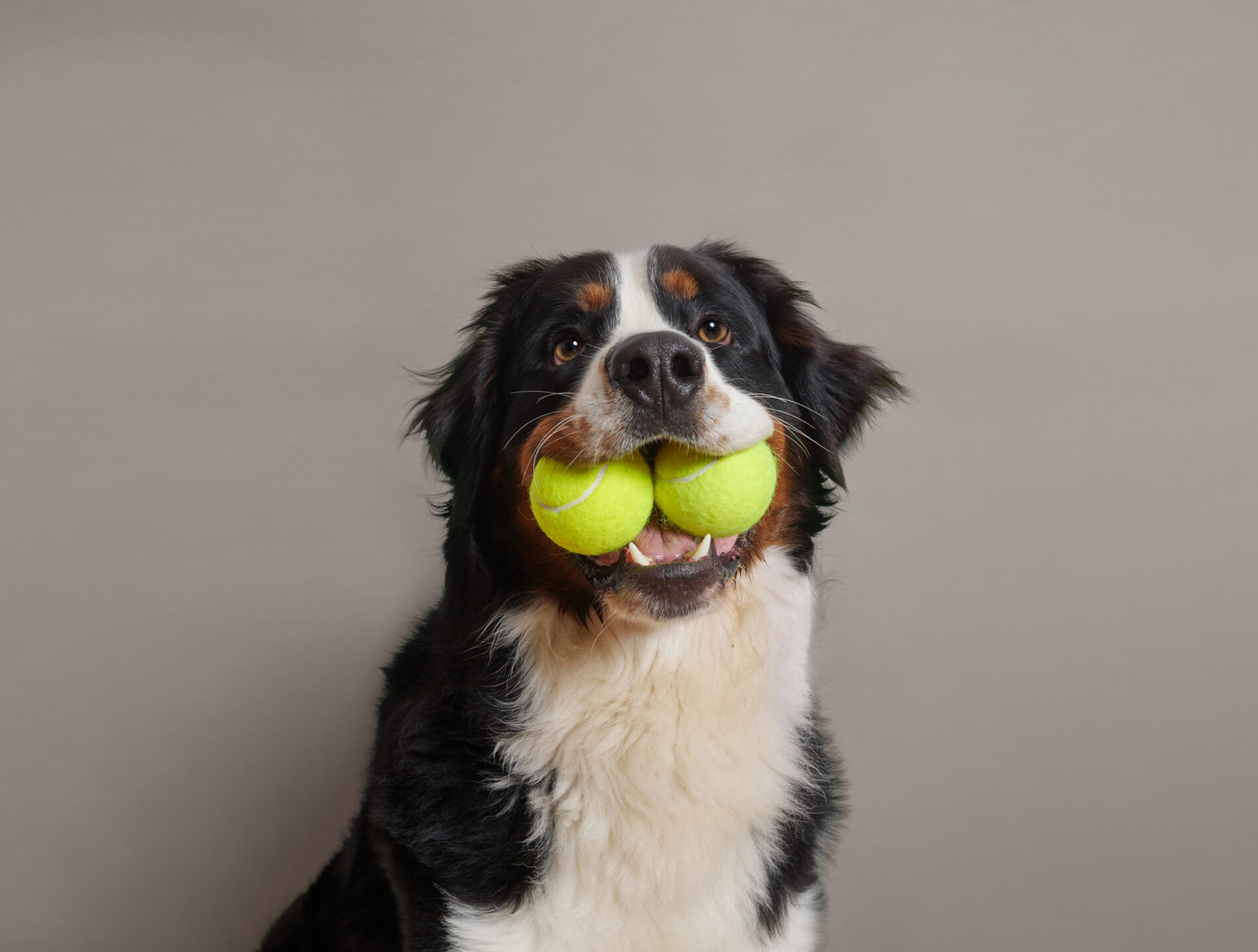 Homepage - Dan Burn-Forti