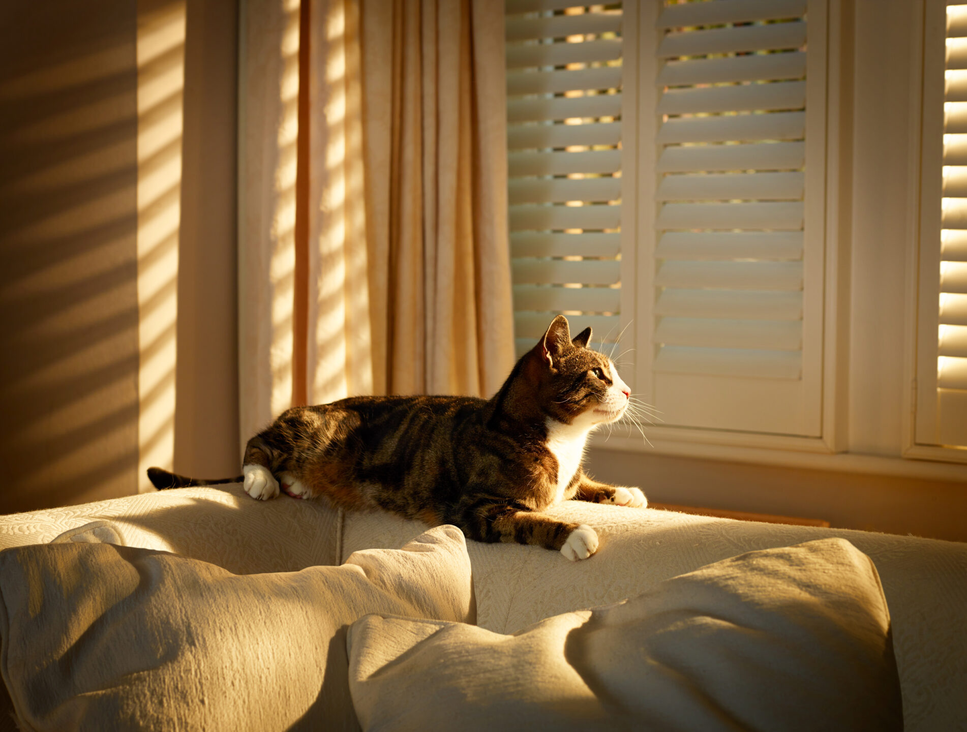 Homepage - Dan Burn-Forti