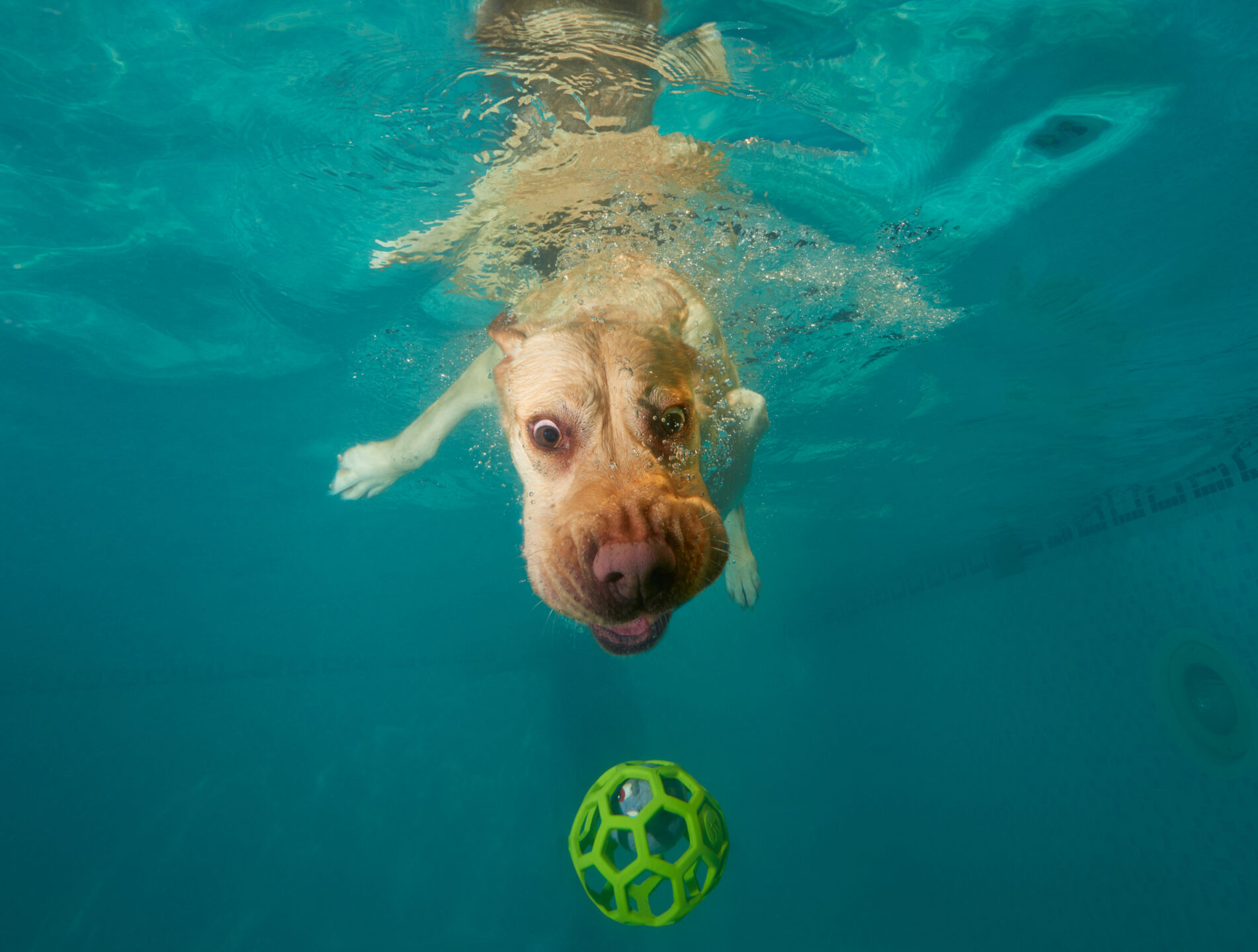 Homepage - Dan Burn-Forti