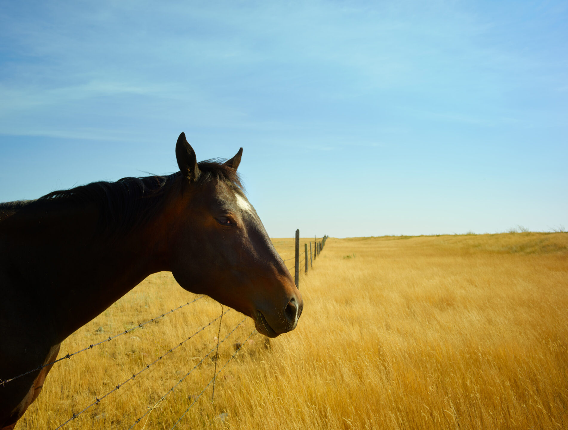 Homepage - Dan Burn-Forti