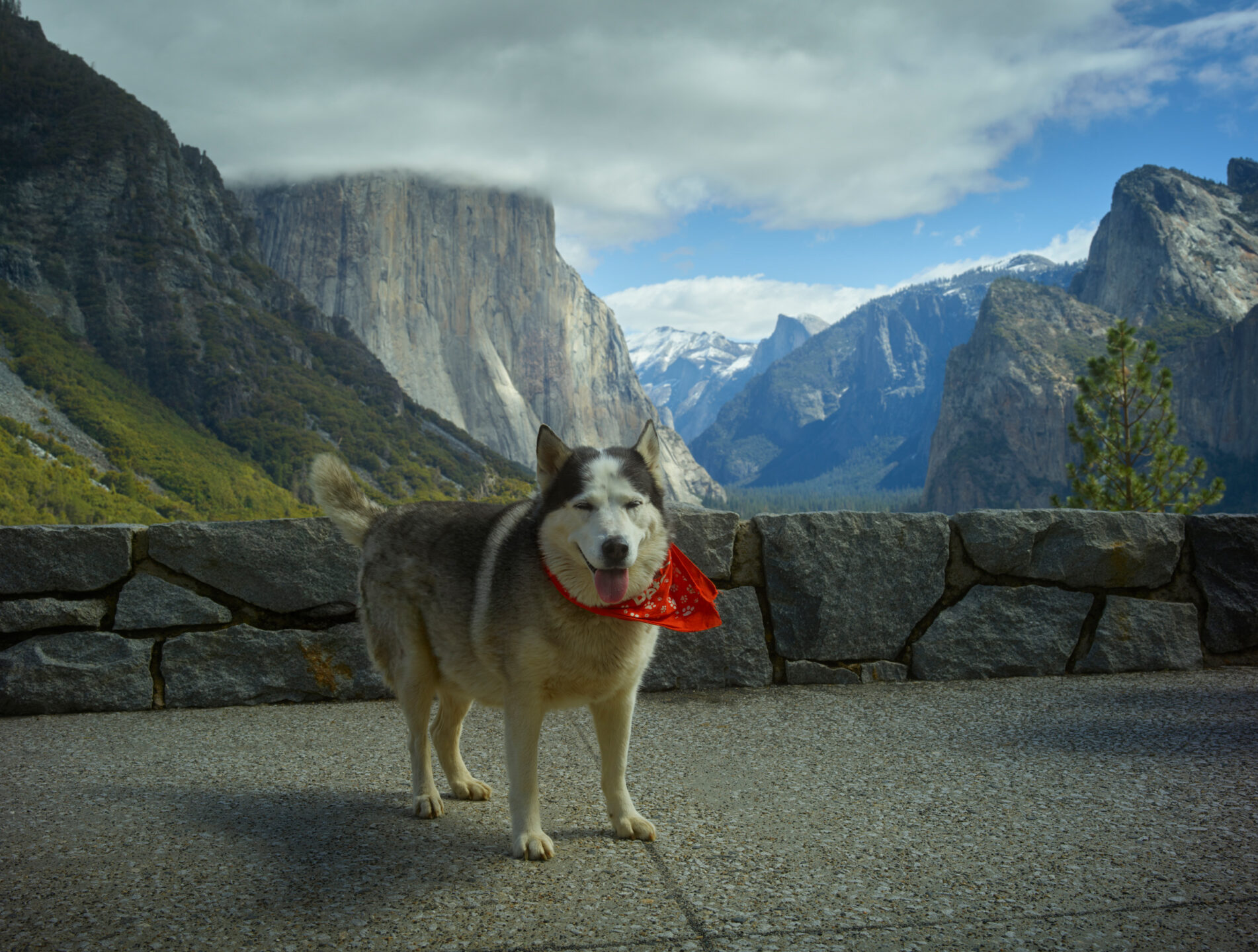 Homepage - Dan Burn-Forti