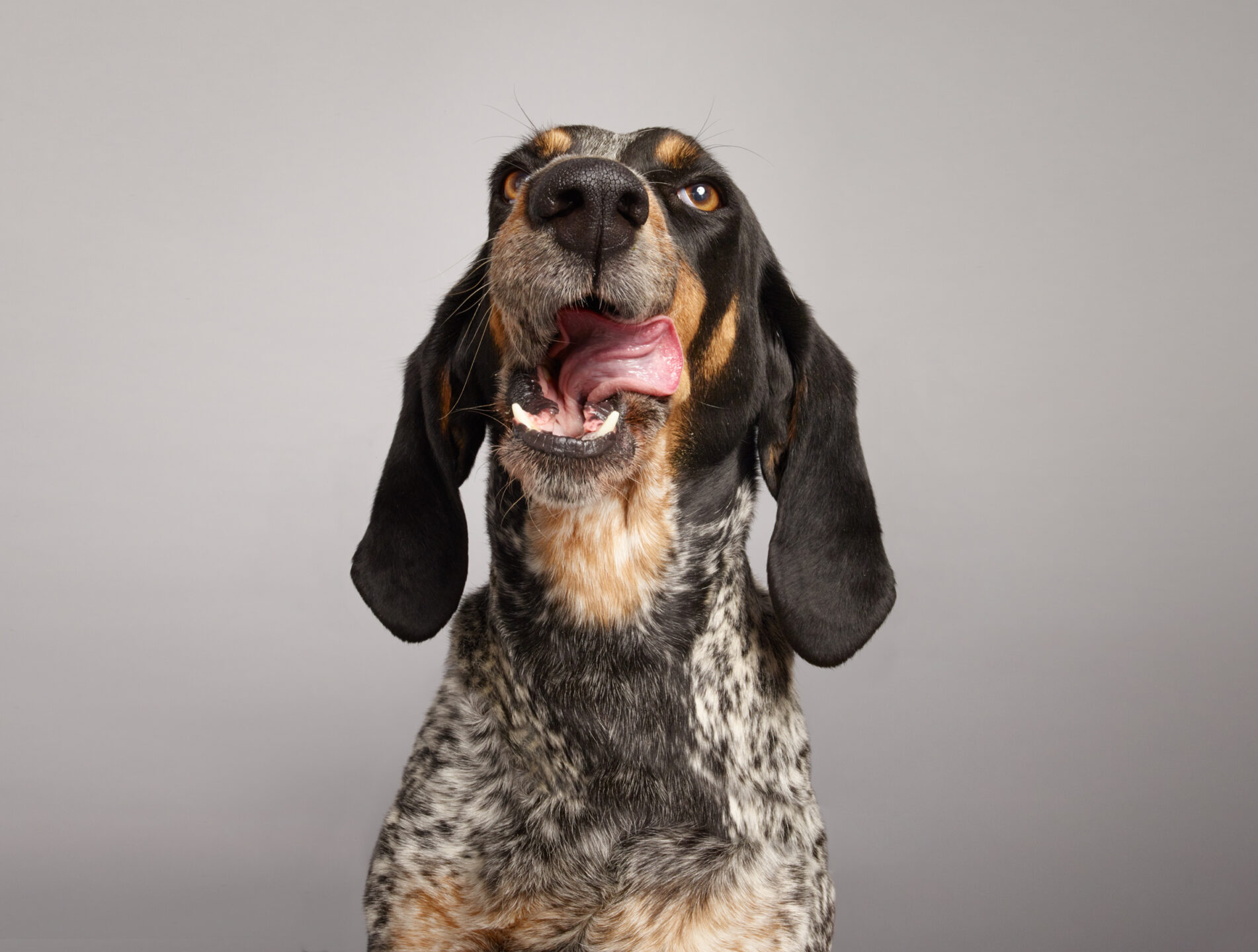 Homepage - Dan Burn-Forti