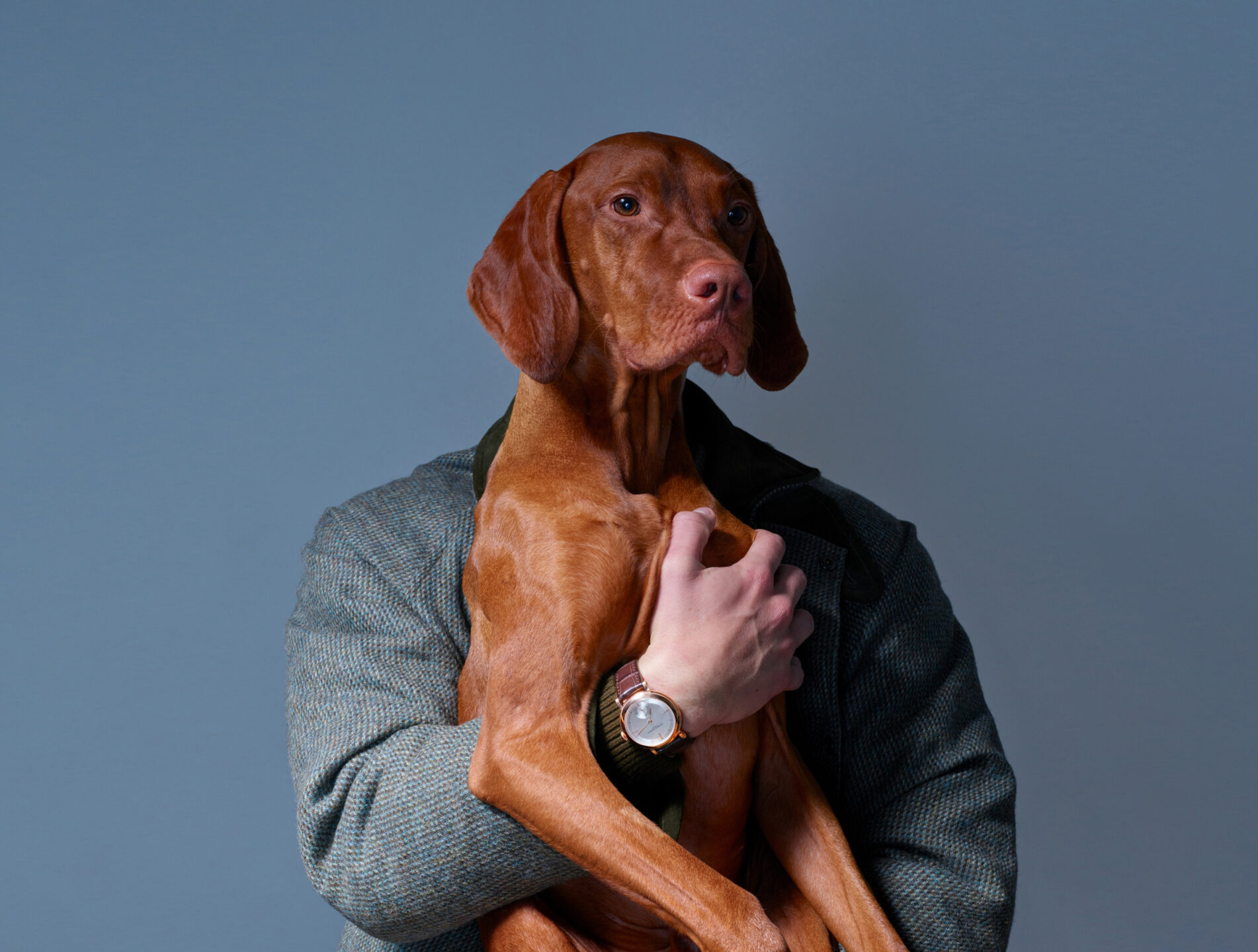 Homepage - Dan Burn-Forti