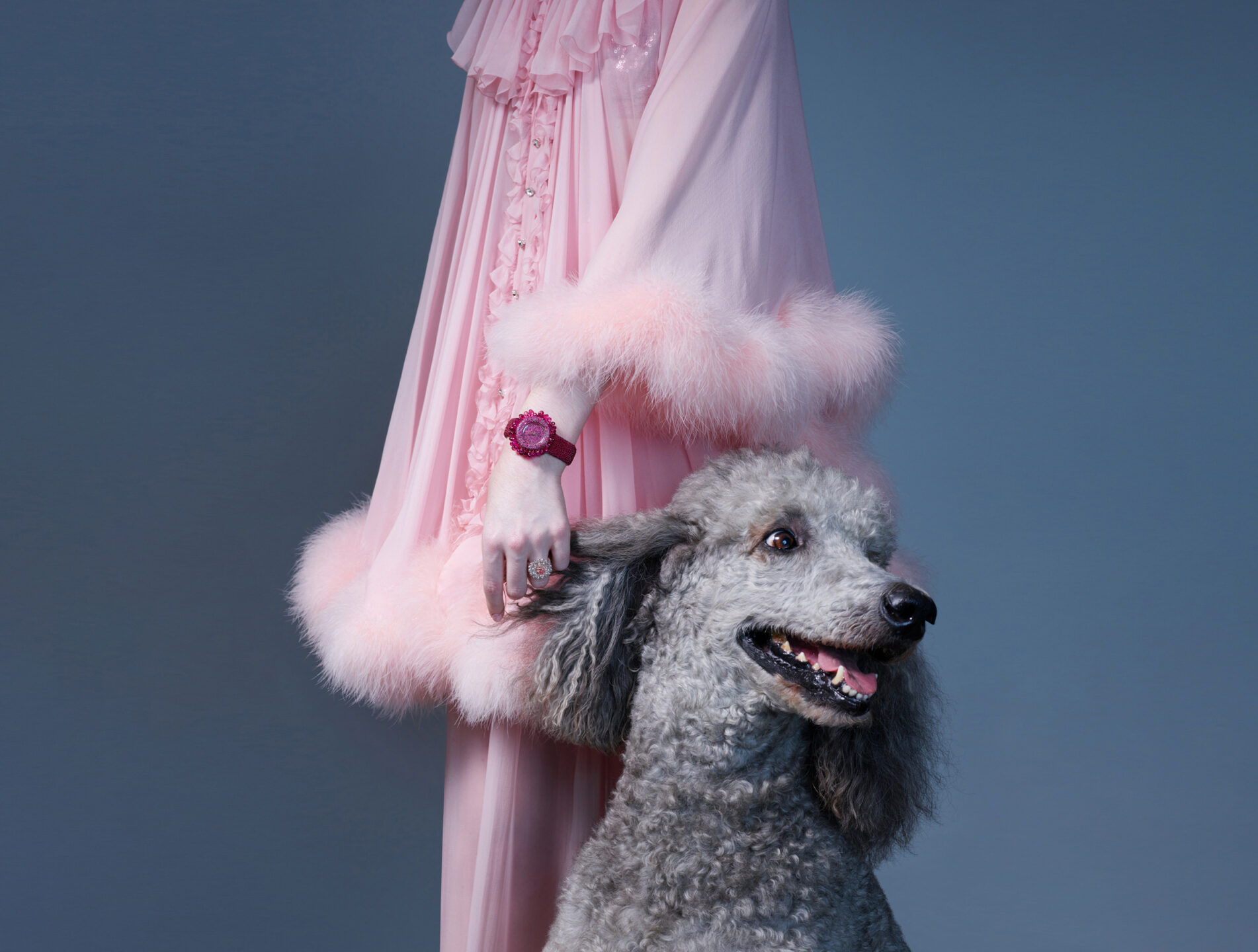 Homepage - Dan Burn-Forti