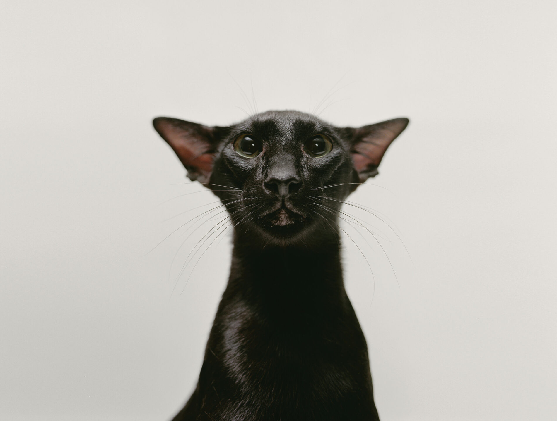 Homepage - Dan Burn-Forti