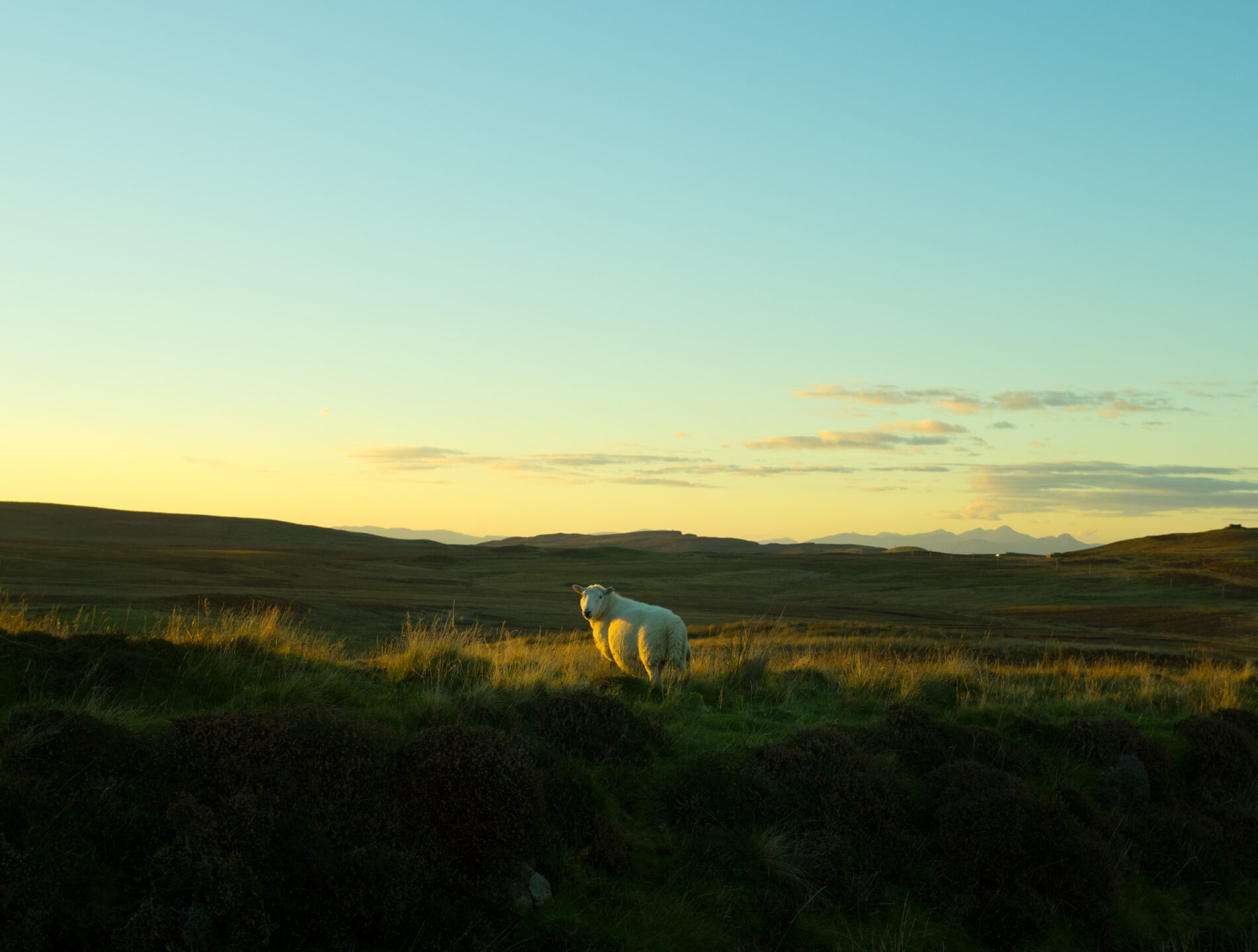 Homepage - Dan Burn-Forti