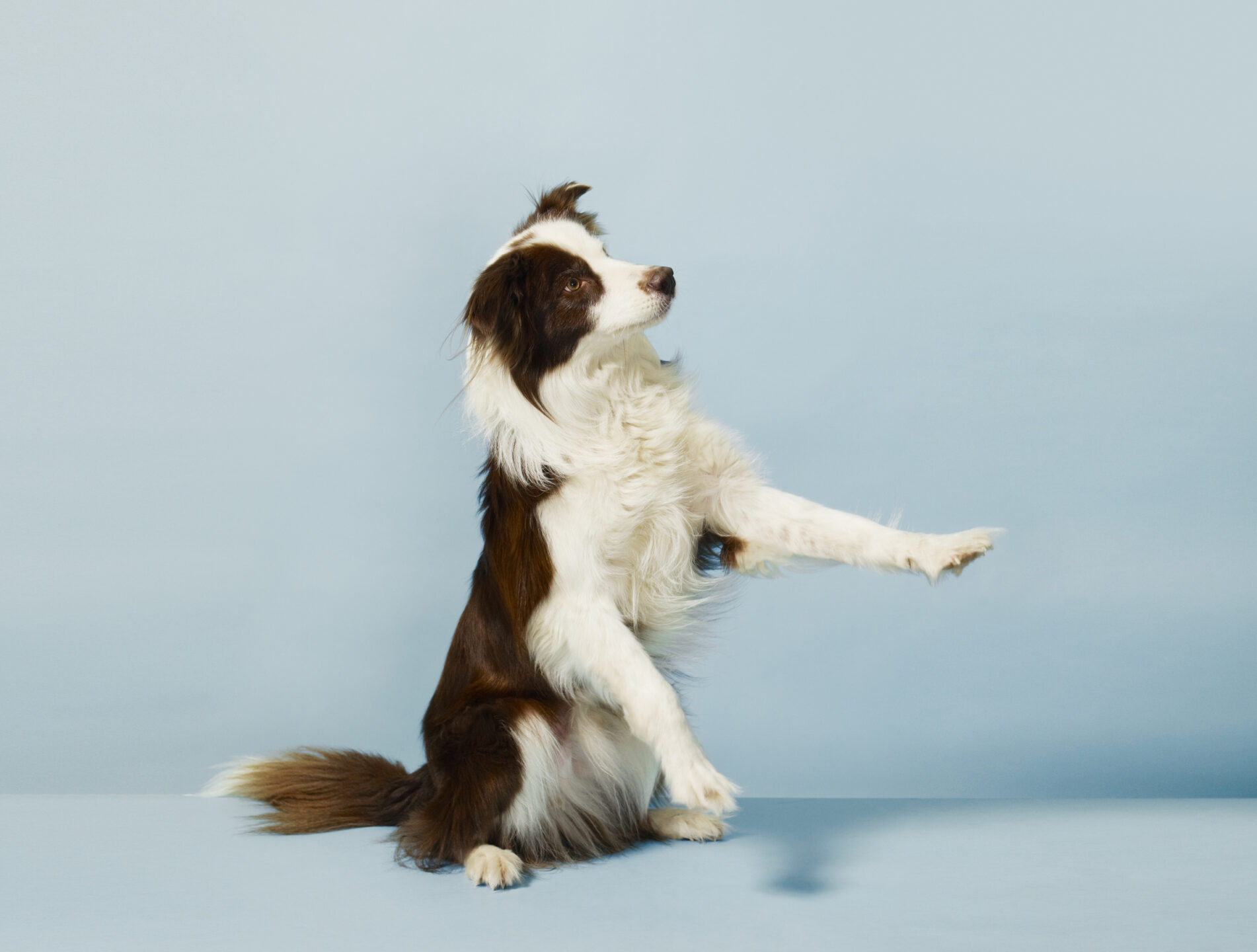 Homepage - Dan Burn-Forti