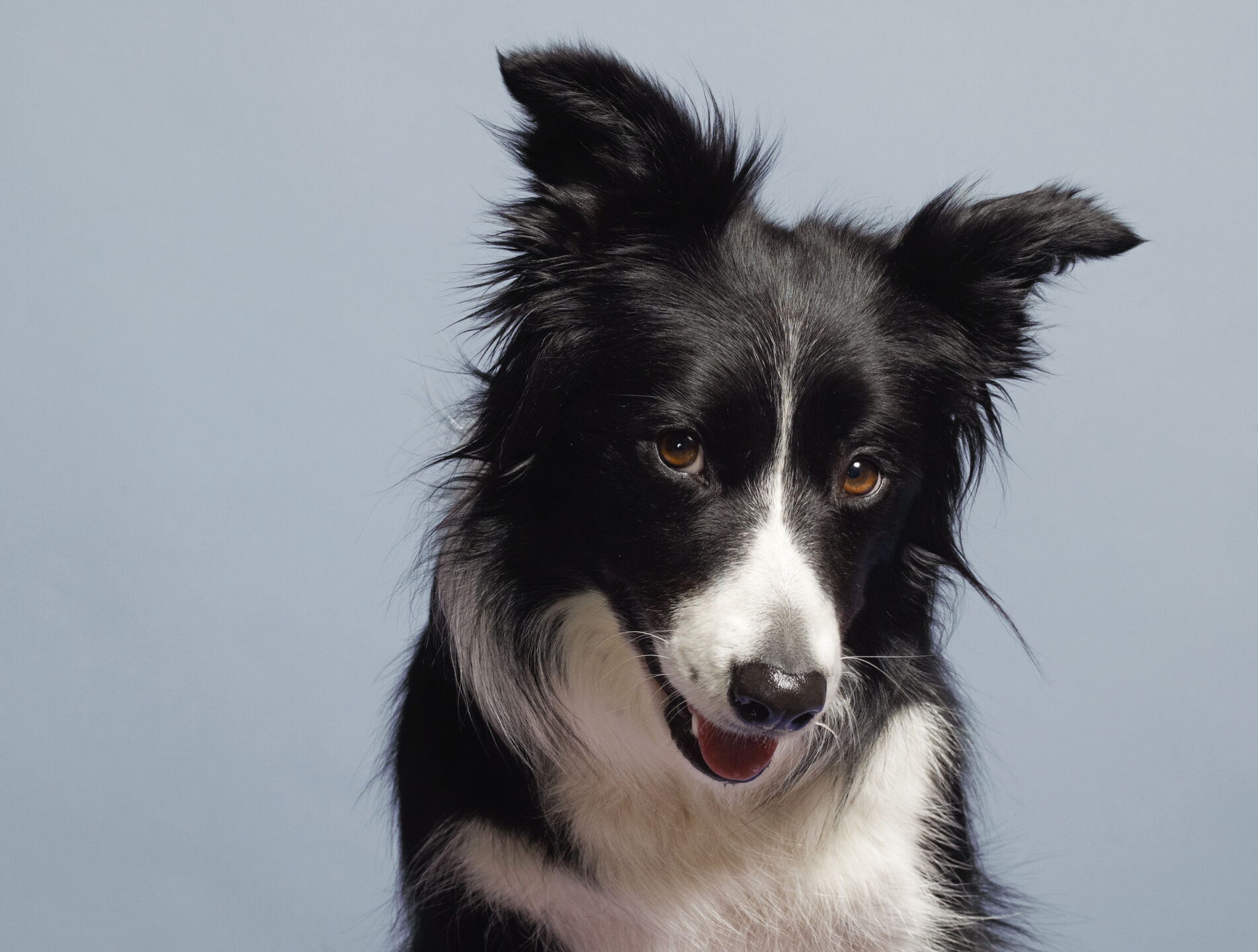 Homepage - Dan Burn-Forti