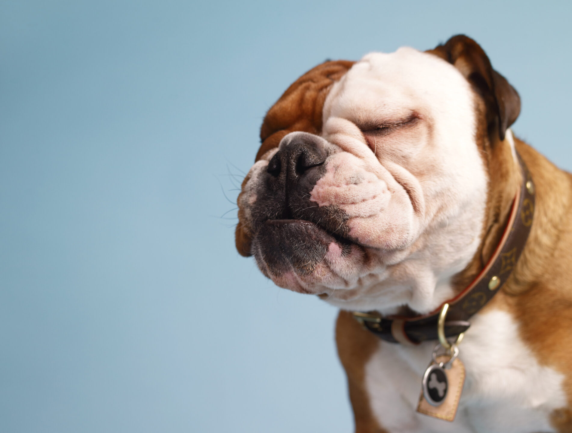 Homepage - Dan Burn-Forti