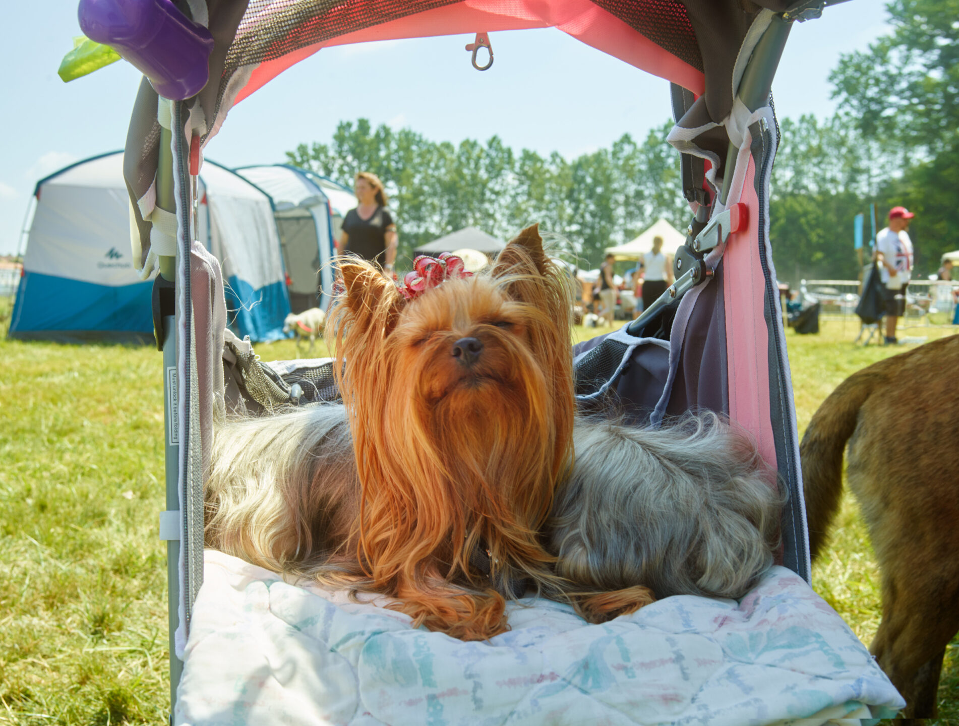 Homepage - Dan Burn-Forti