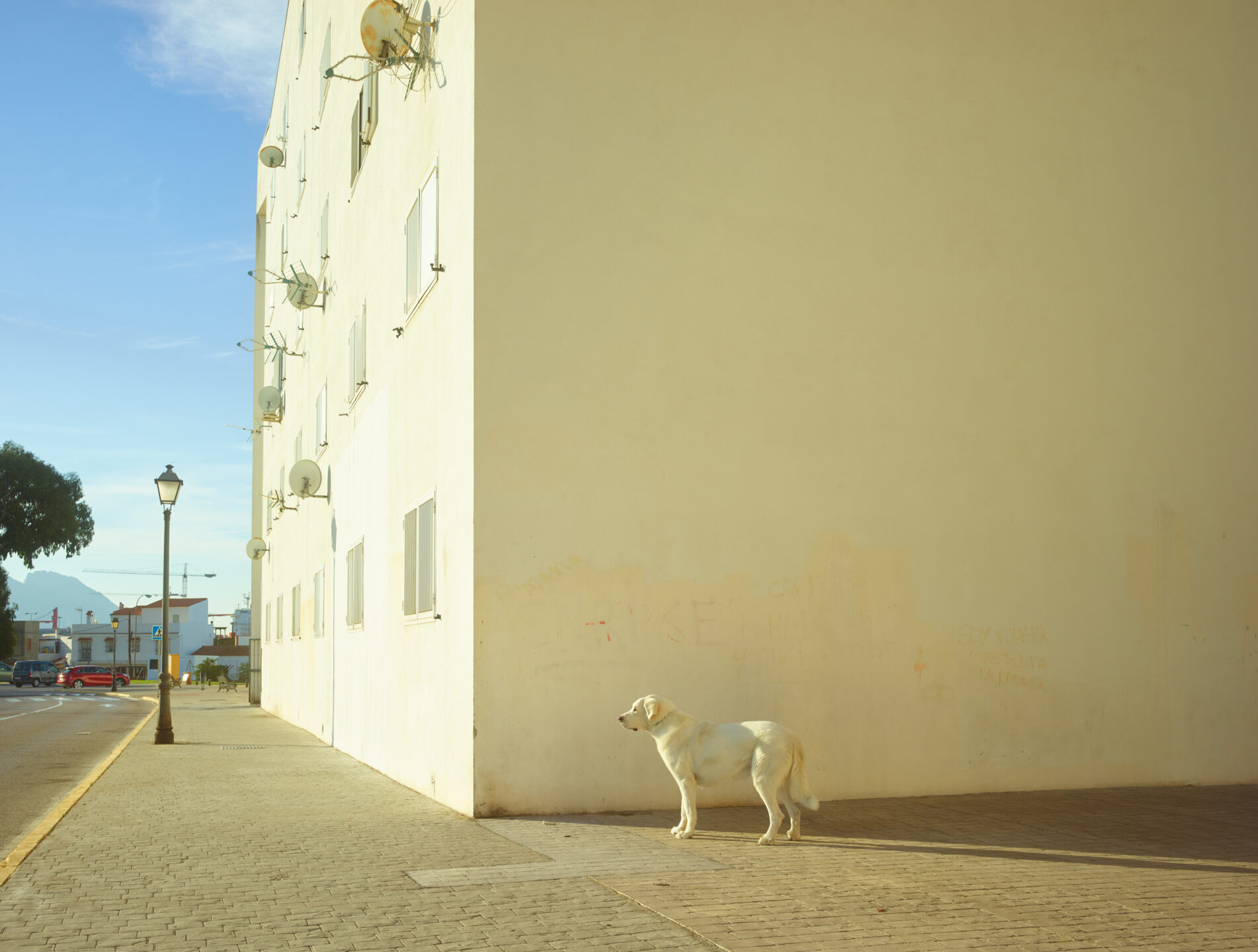 Homepage - Dan Burn-Forti