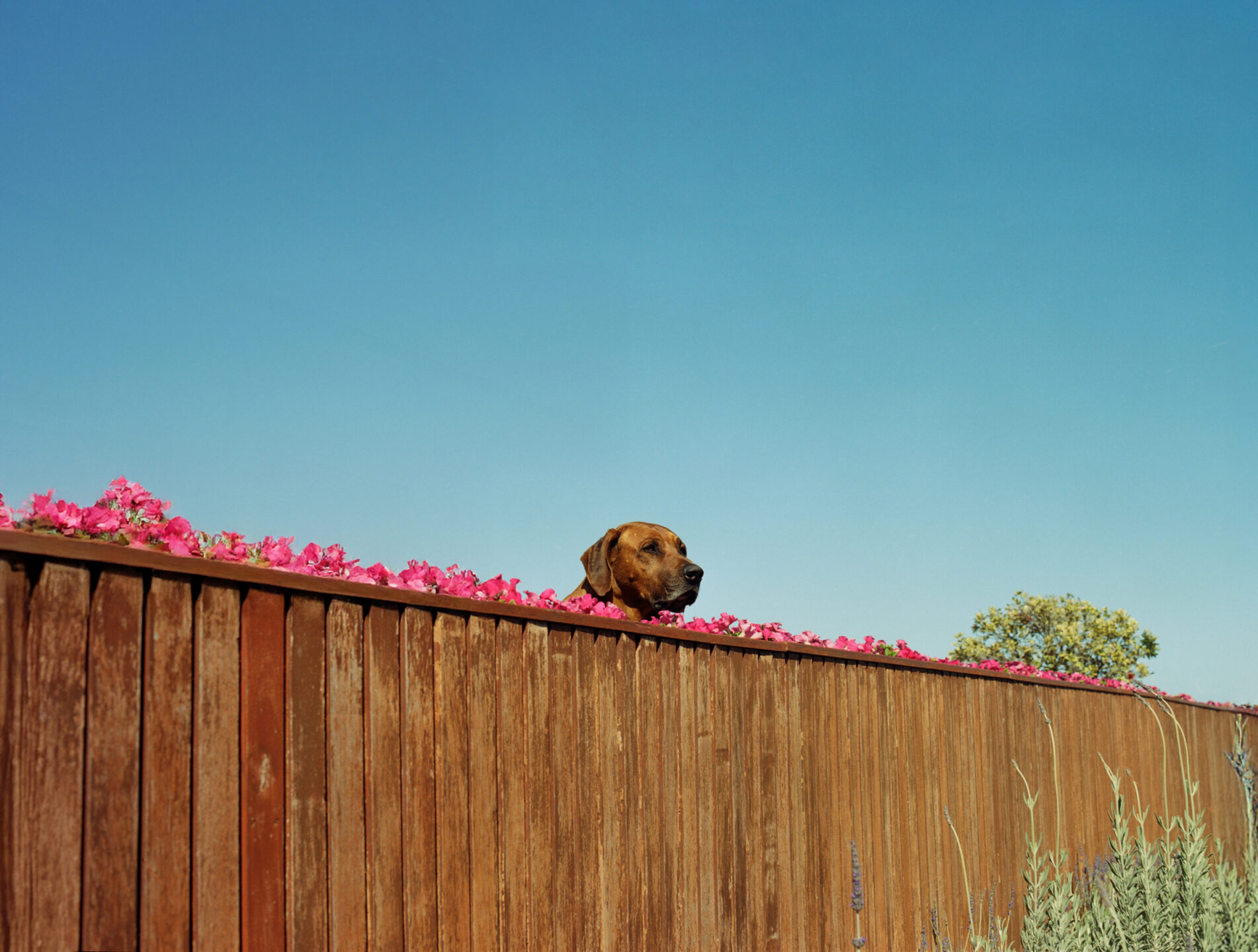 Homepage - Dan Burn-Forti