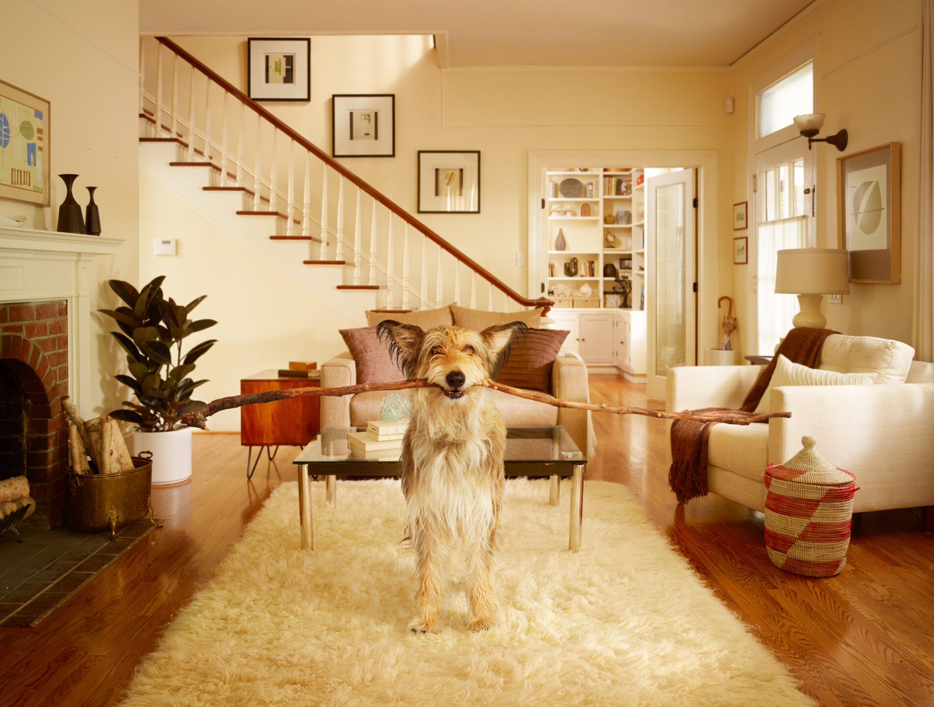 Homepage - Dan Burn-Forti