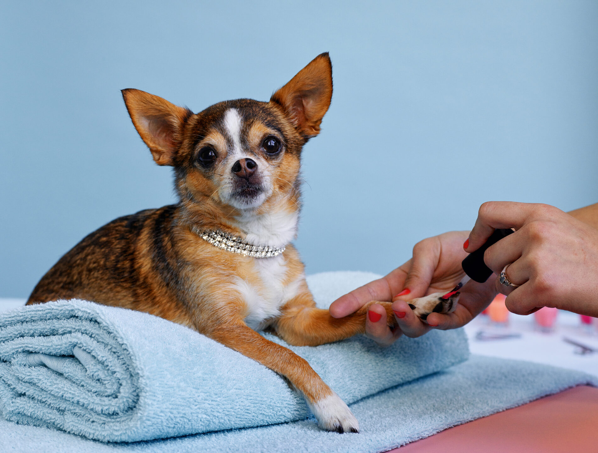 Homepage - Dan Burn-Forti