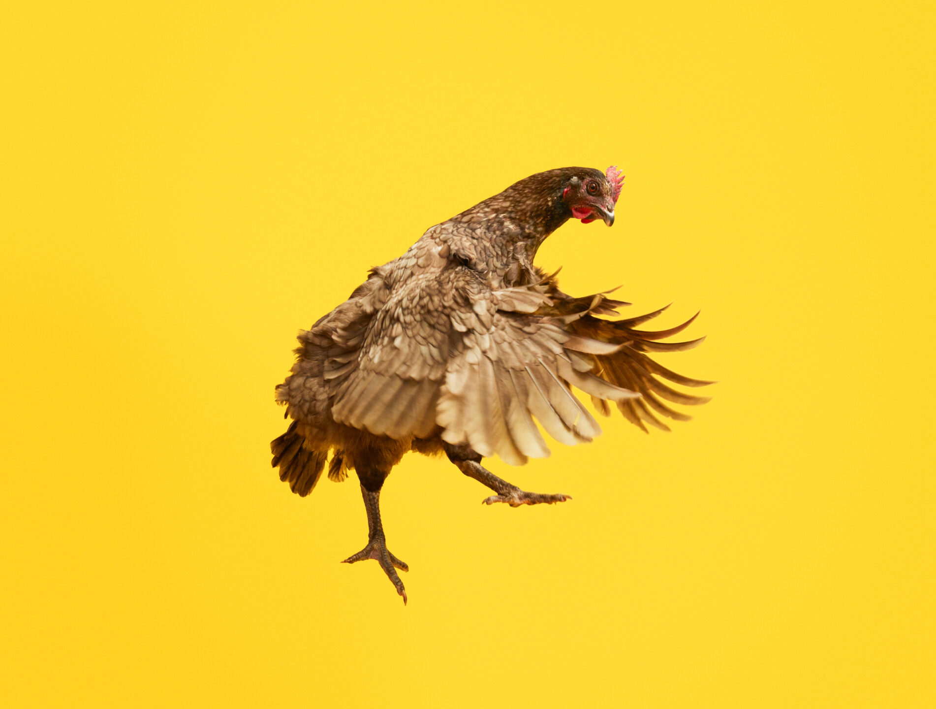 Homepage - Dan Burn-Forti