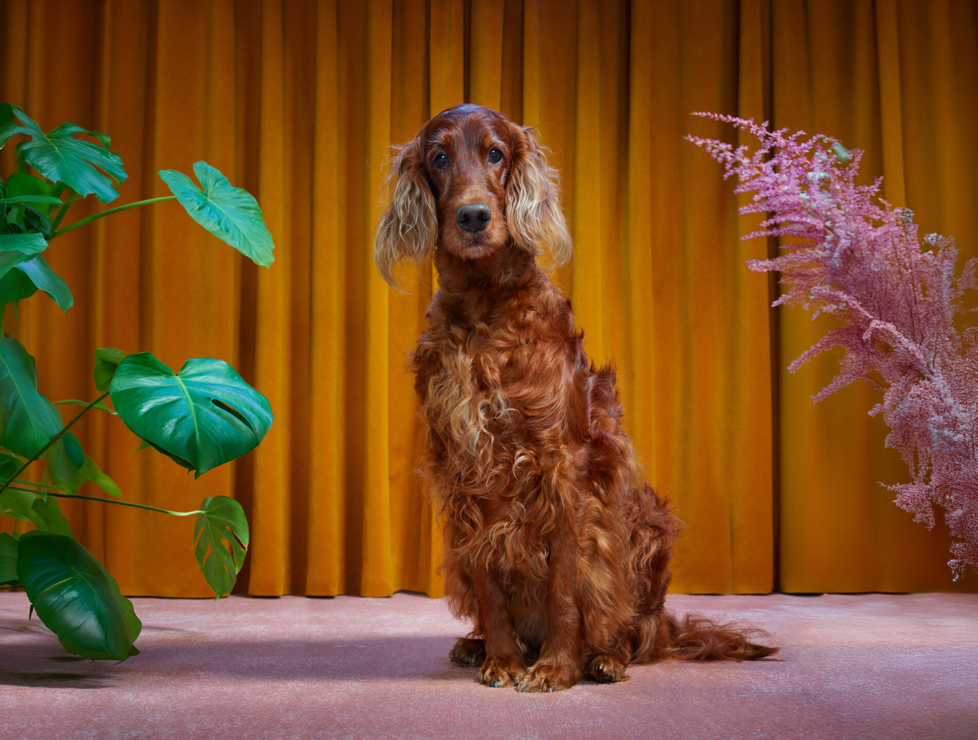 Homepage - Dan Burn-Forti