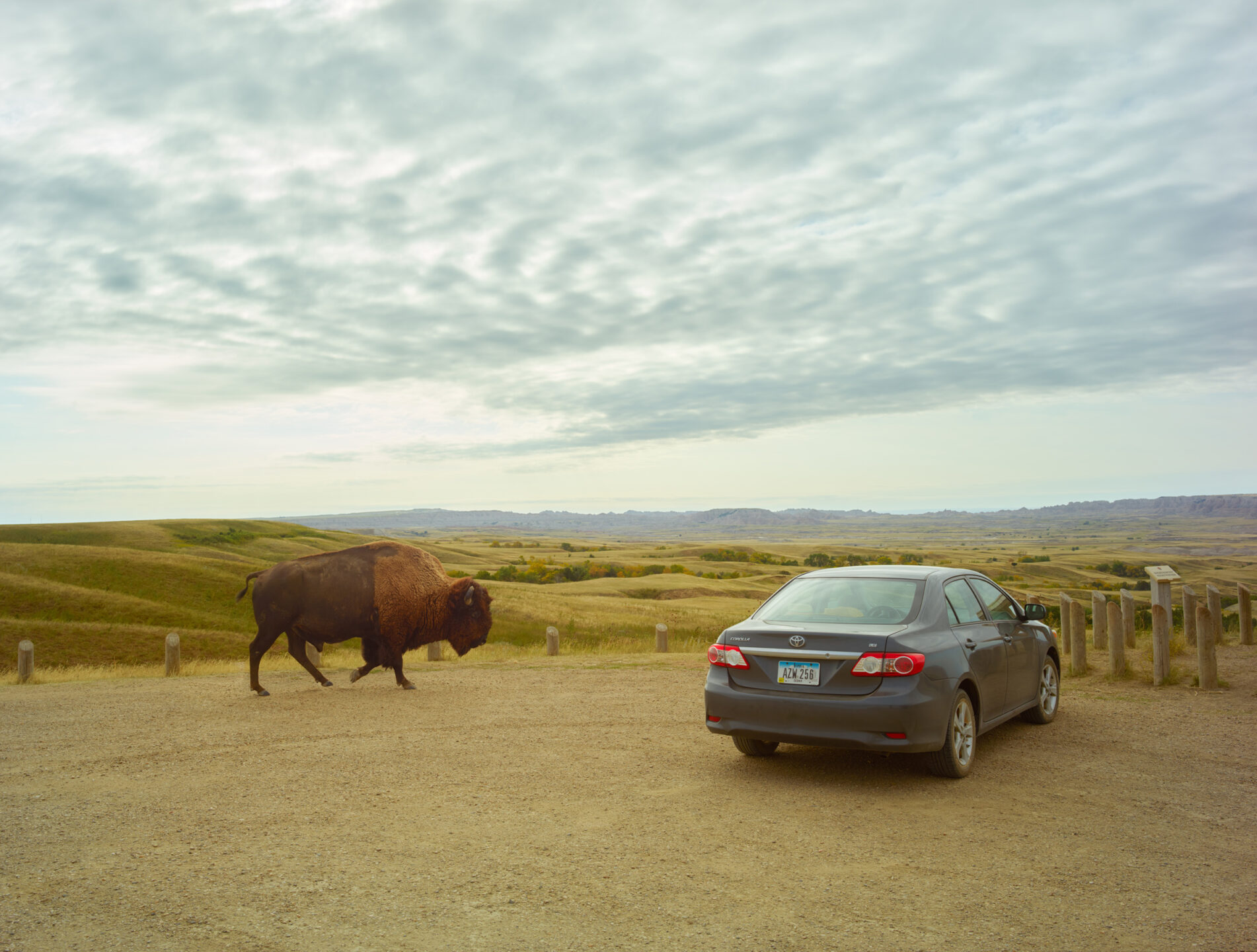 Homepage - Dan Burn-Forti