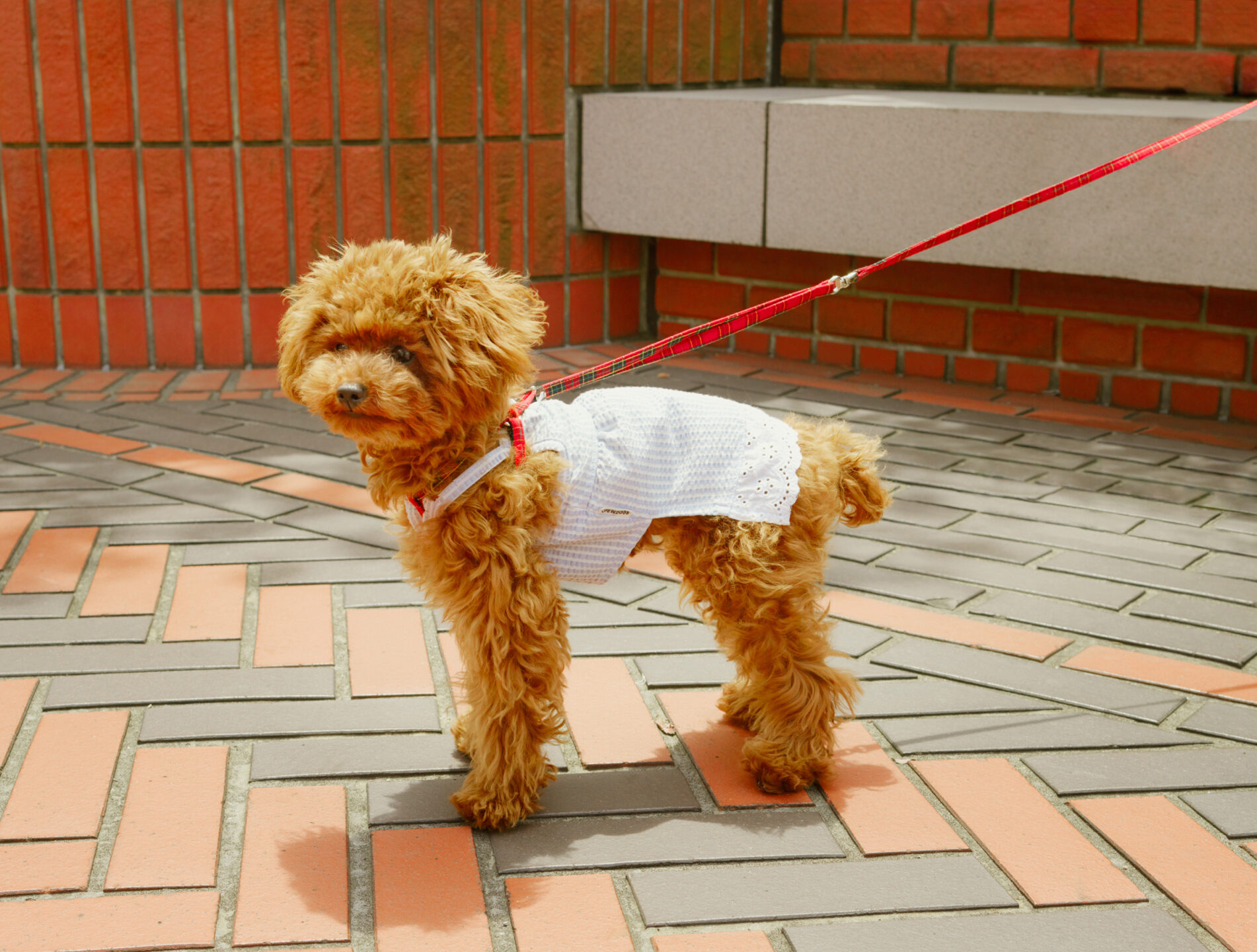 Homepage - Dan Burn-Forti