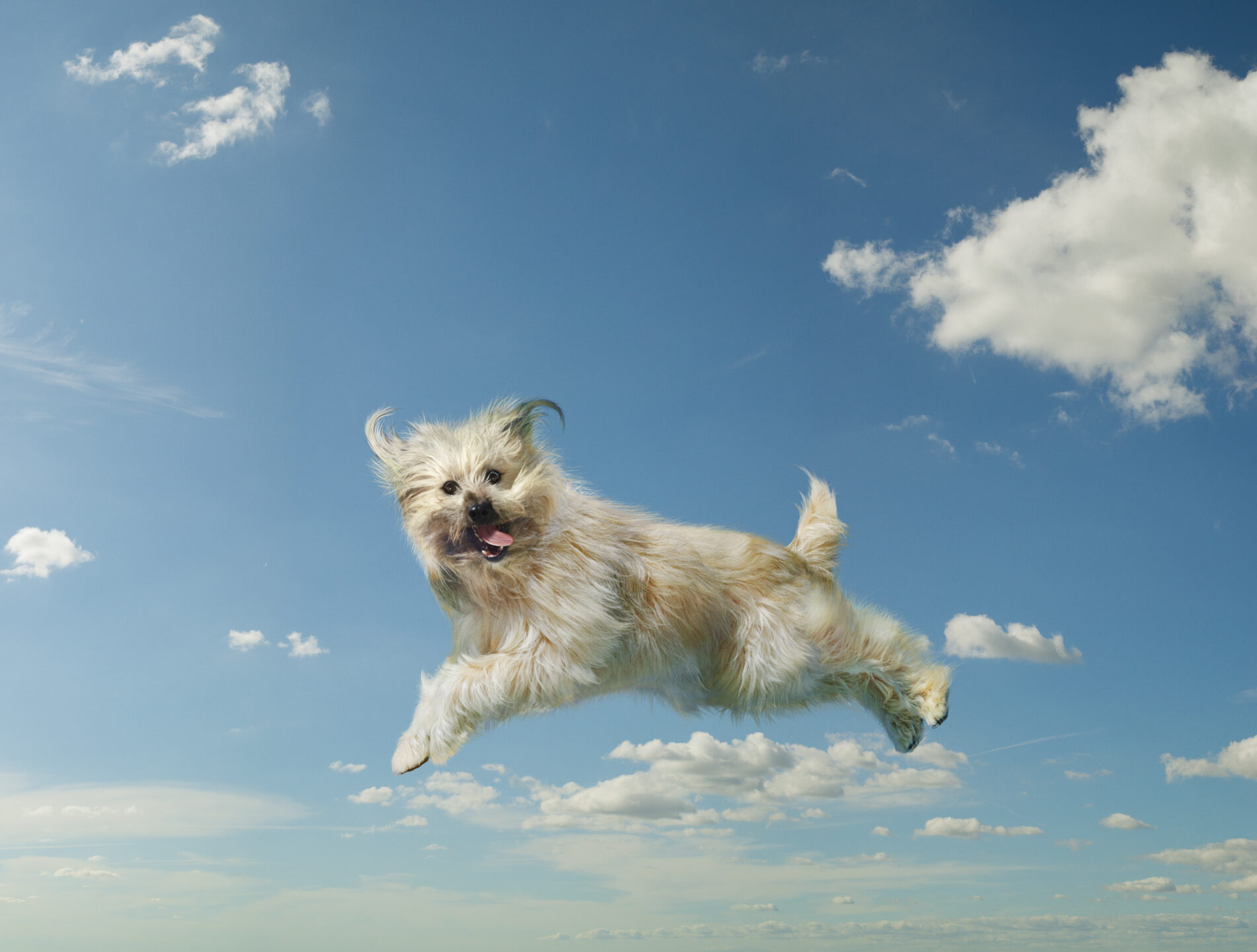 Homepage - Dan Burn-Forti