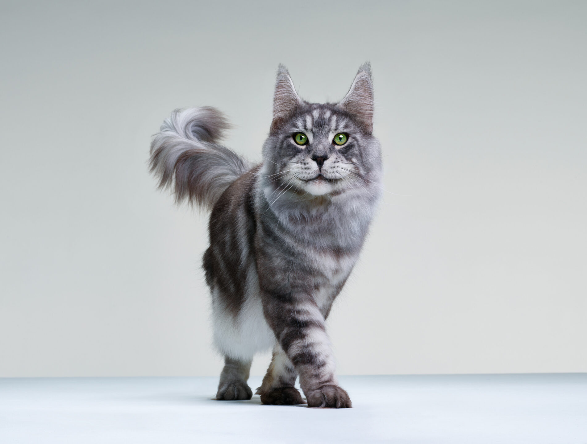 Homepage - Dan Burn-Forti